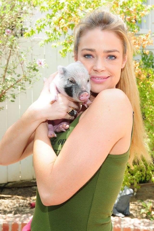 Celebrities Who Have Pet Pigs | Famous People With Pet Pigs