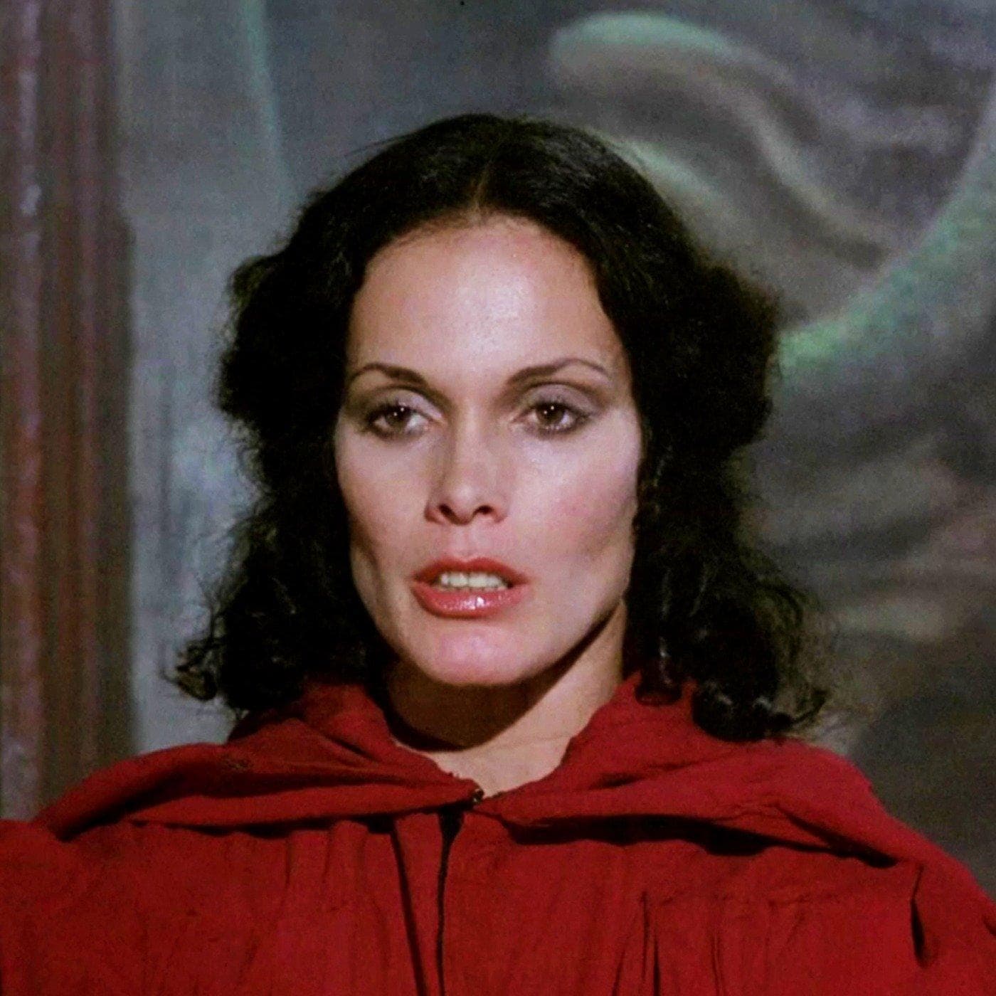 The Best Horror Movies About Dogs Ranked