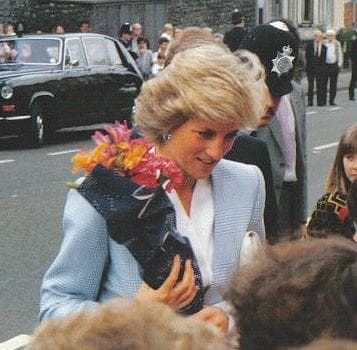 What British Royal Matches Your Zodiac Sign?