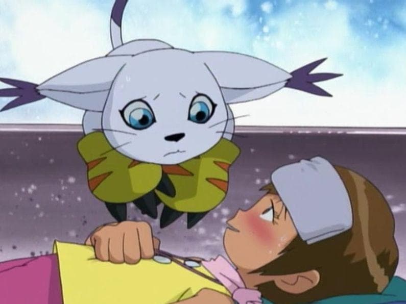 The 14 Best Anime About Illness or Being Terminally Sick