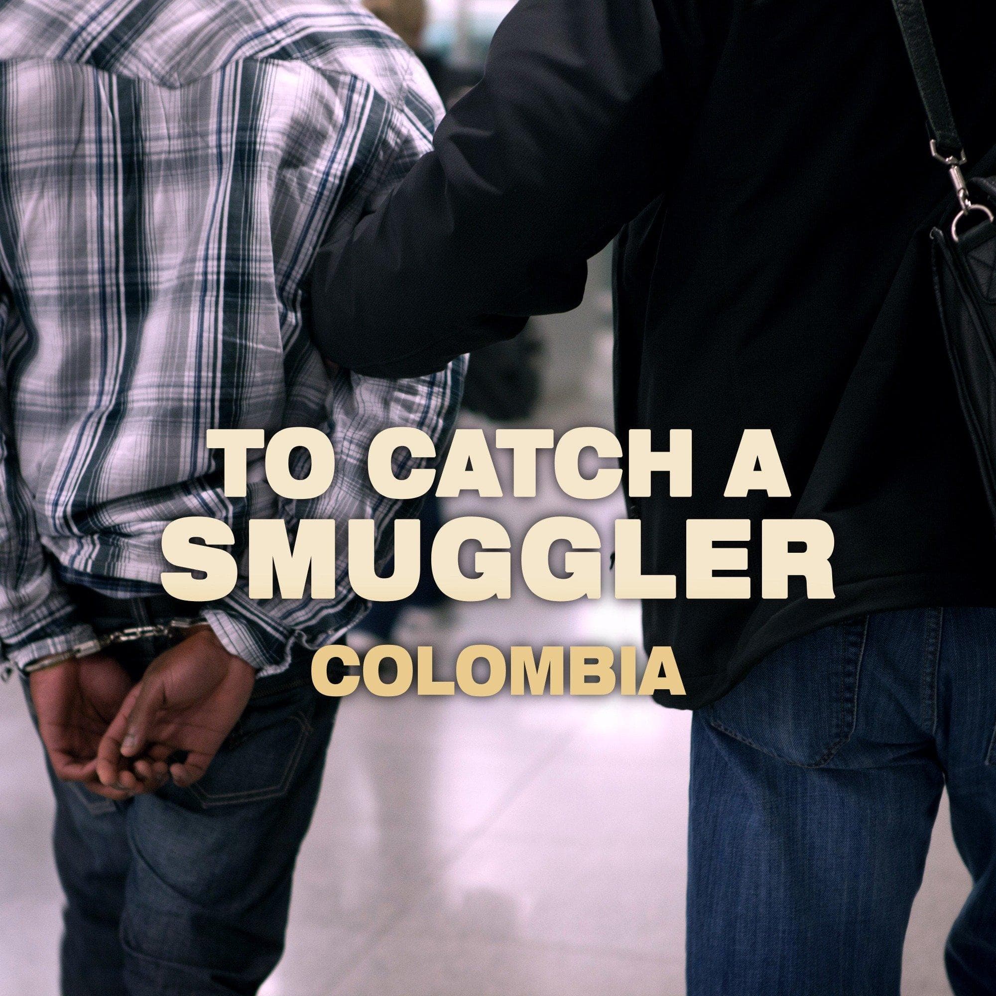 The 20 Best Shows Like 'To Catch a Smuggler', Ranked By Fans