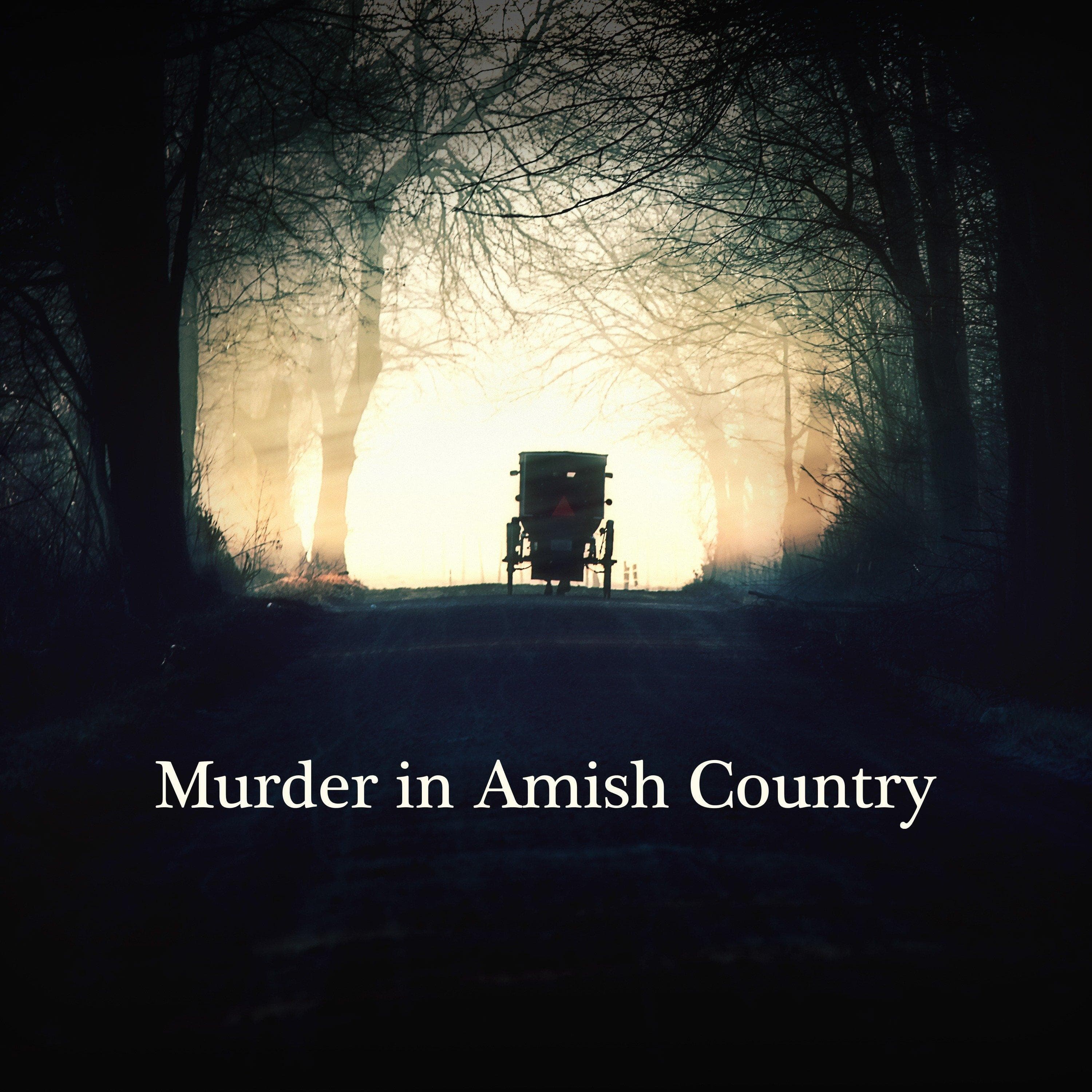 The 12 Best TV Shows About The Amish