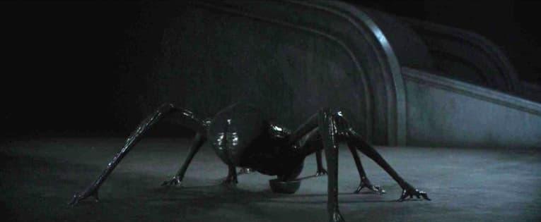 Terrifying Spider Scenes In Movies