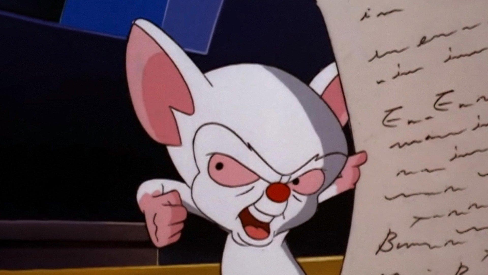 All Episodes Of 'Pinky and the Brain', Ranked By Fans