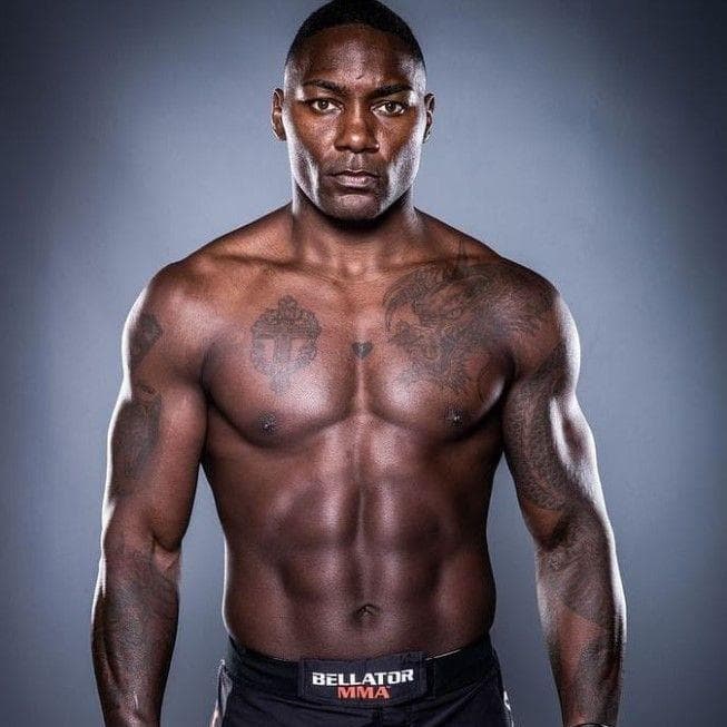 The 50 Best MMA Strikers Of All Time, Ranked