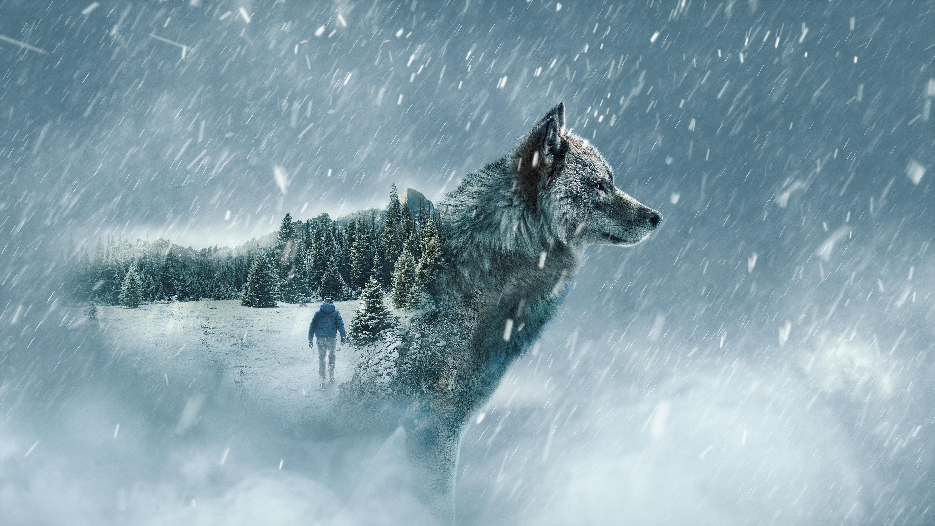 All The Seasons Of 'Alone,' Ranked Best To Worst