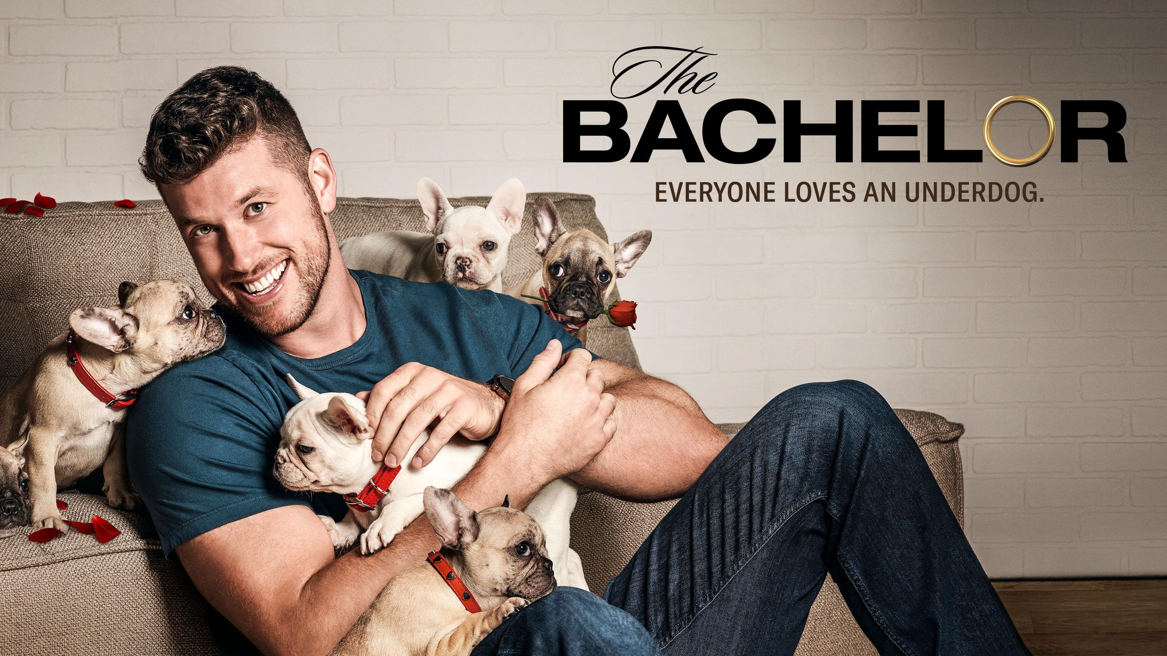 The 25+ Best Bachelor Seasons Of All Time, Ranked By Viewers