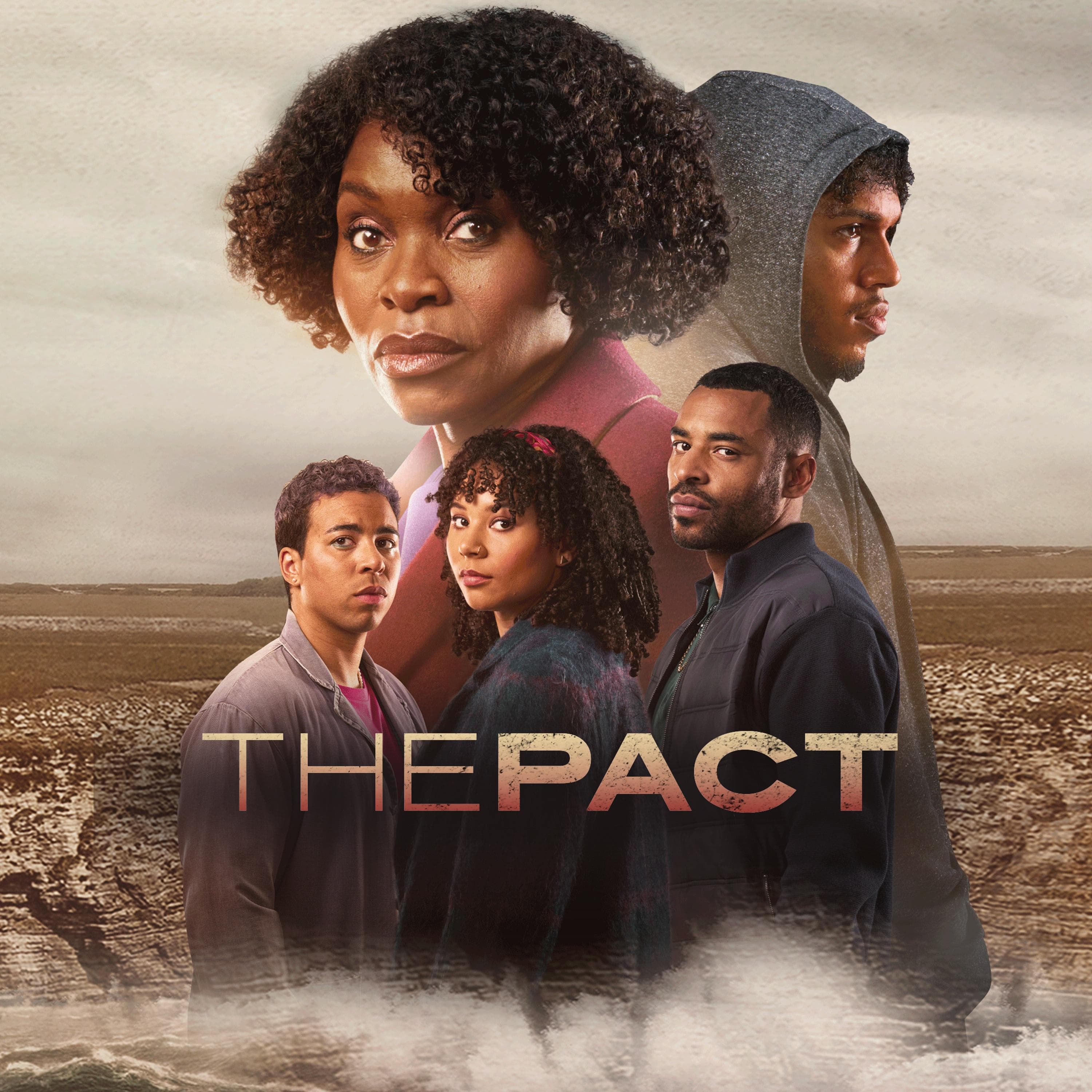 The 25 Best Shows Like 'Fool Me Once', Ranked By Fans