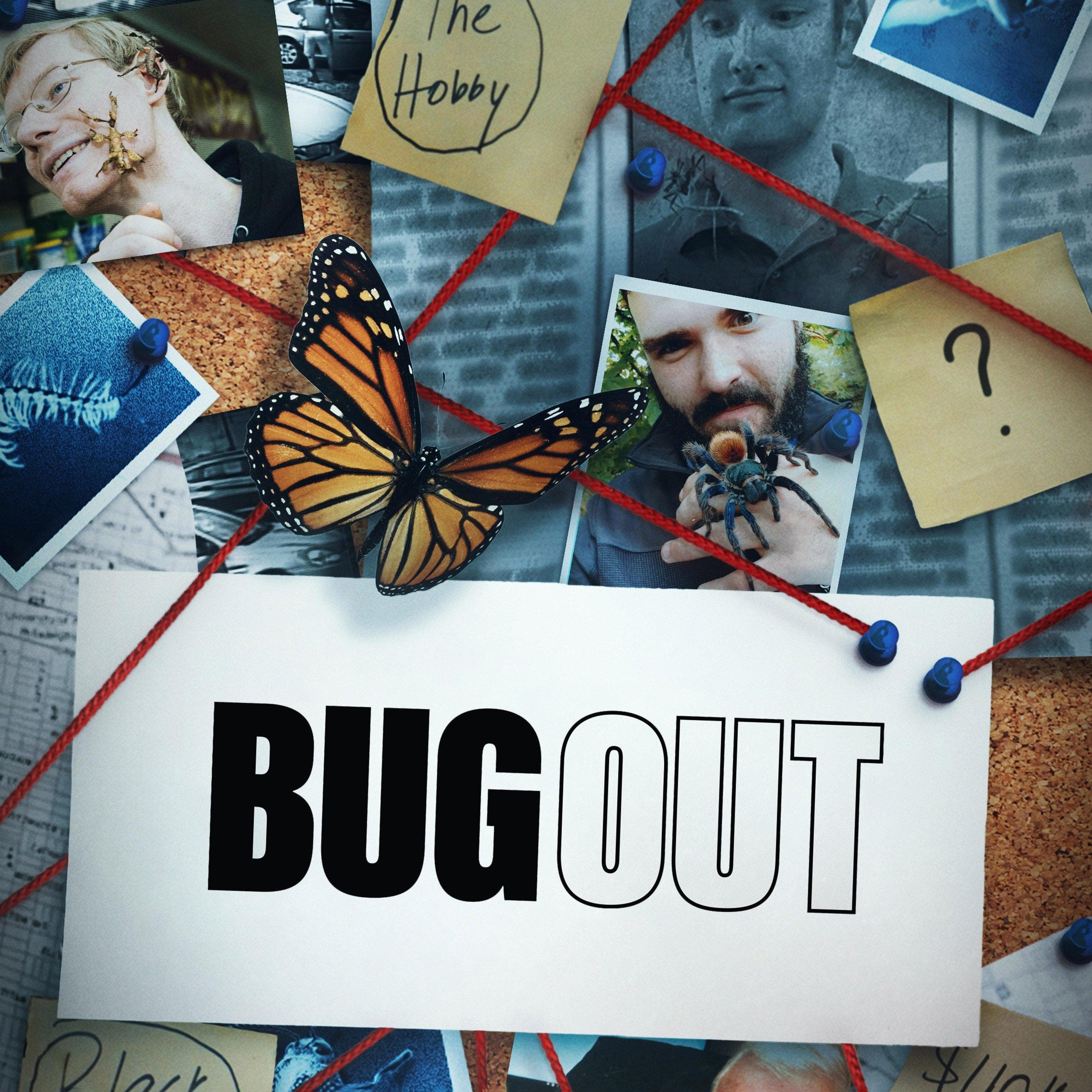 The 25+ Best Shows On Amazon Freevee, Ranked By Fans