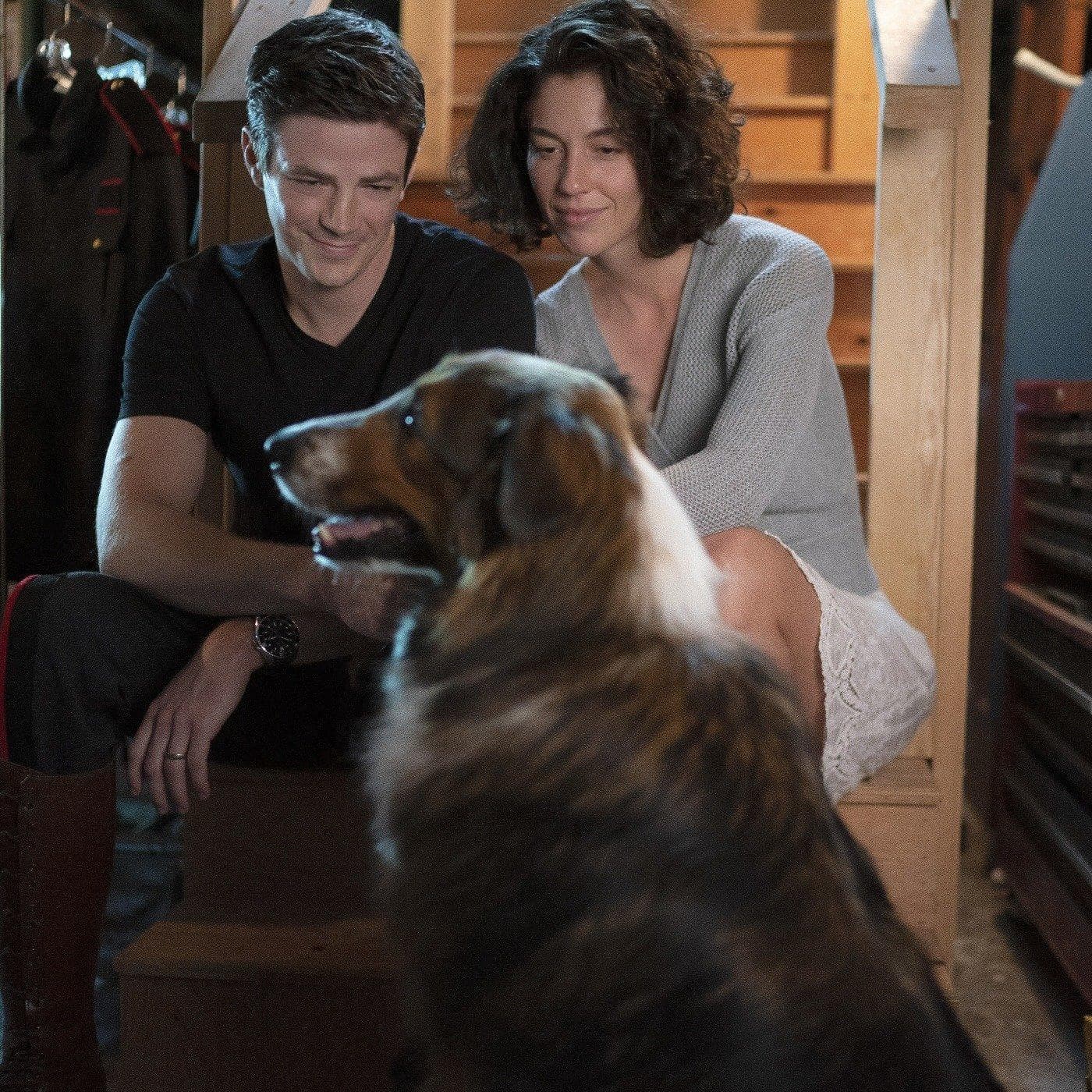 The 22 Best Dog Movies On Netflix, Ranked By Fans