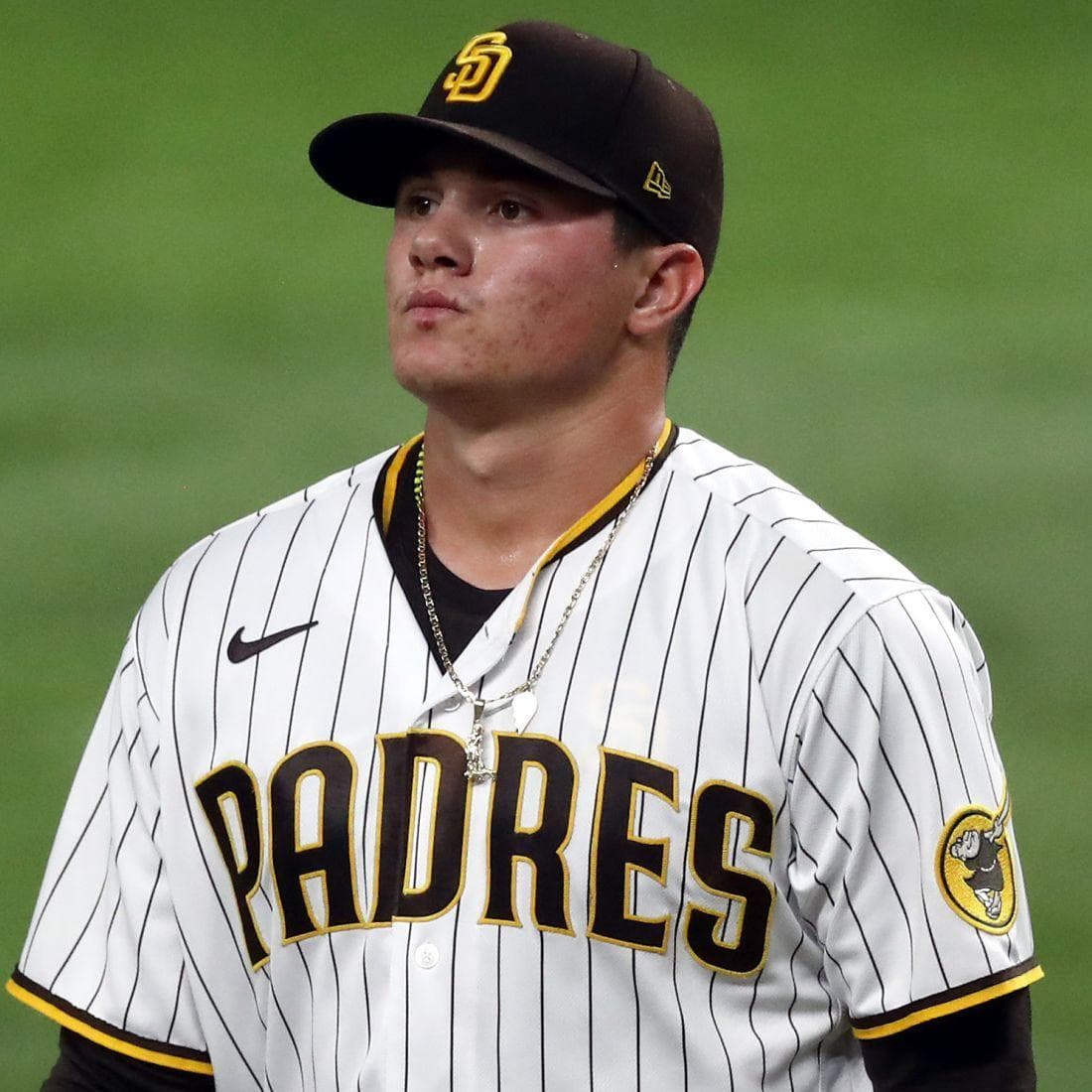 The Best Cuban Baseball Players Of 2025, Ranked By Fans