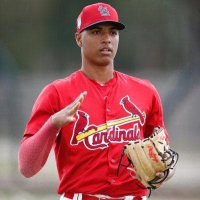 The Best Cuban Baseball Players of 2024, Ranked By Fans