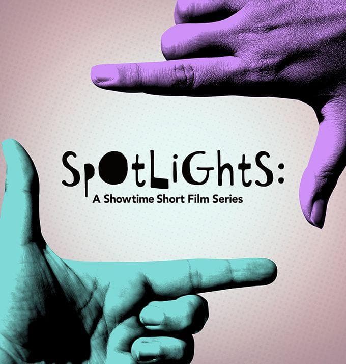 The Best Shows On Showtime Right Now, Ranked