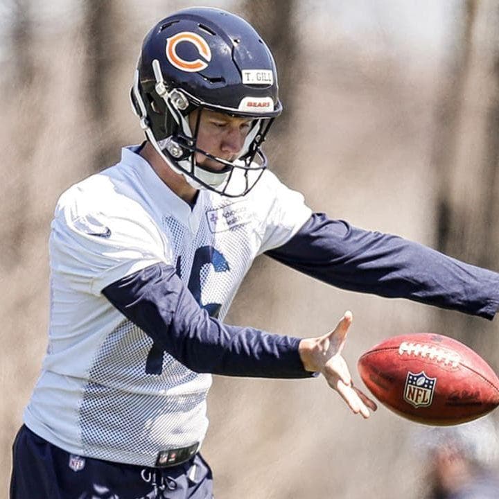 The 30+ Best NFL Punters Of 2024, Ranked