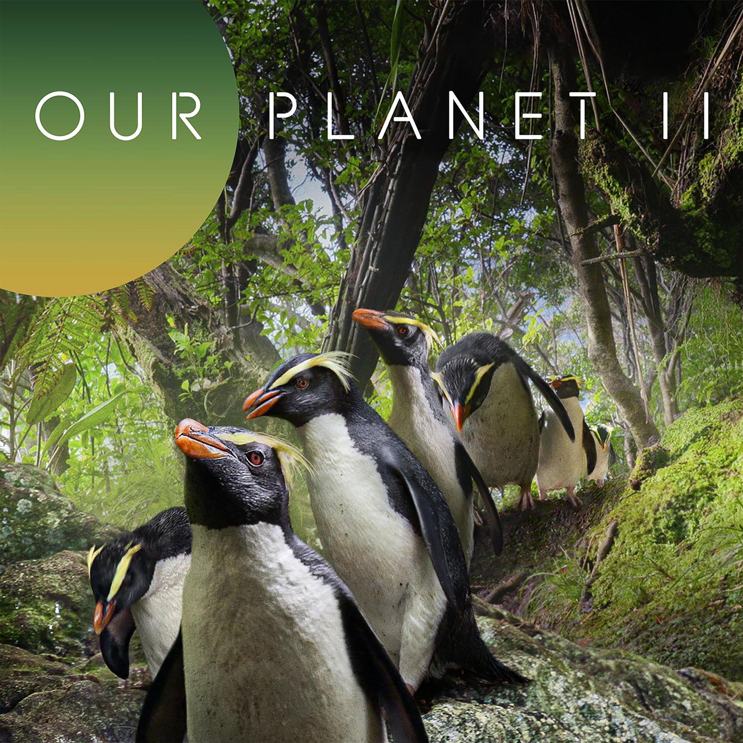 The 25+ Best Animal & Nature Documentaries On Netflix, Ranked