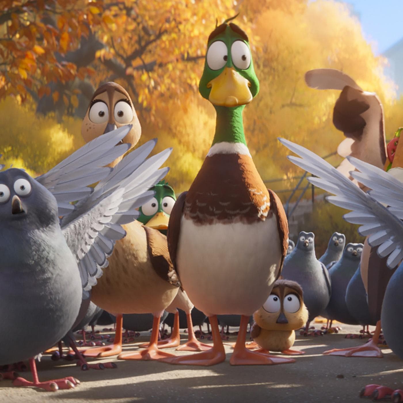 The 15 Best Movies With Birds, Ranked By Fans