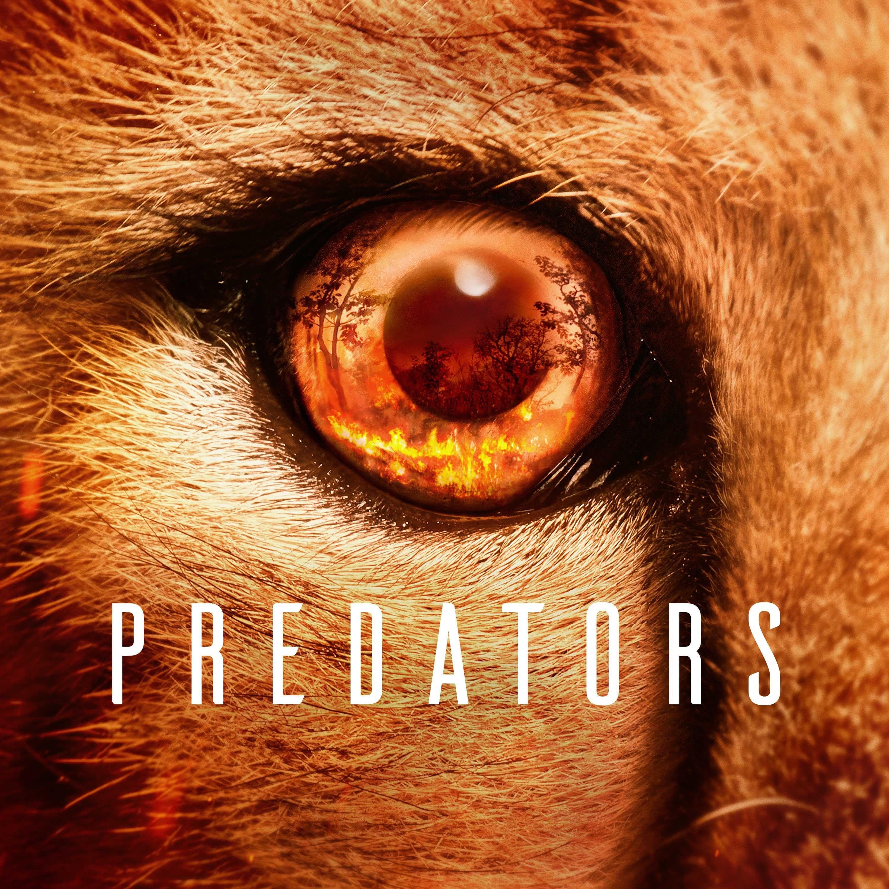 The 25+ Best Animal & Nature Documentaries On Netflix, Ranked