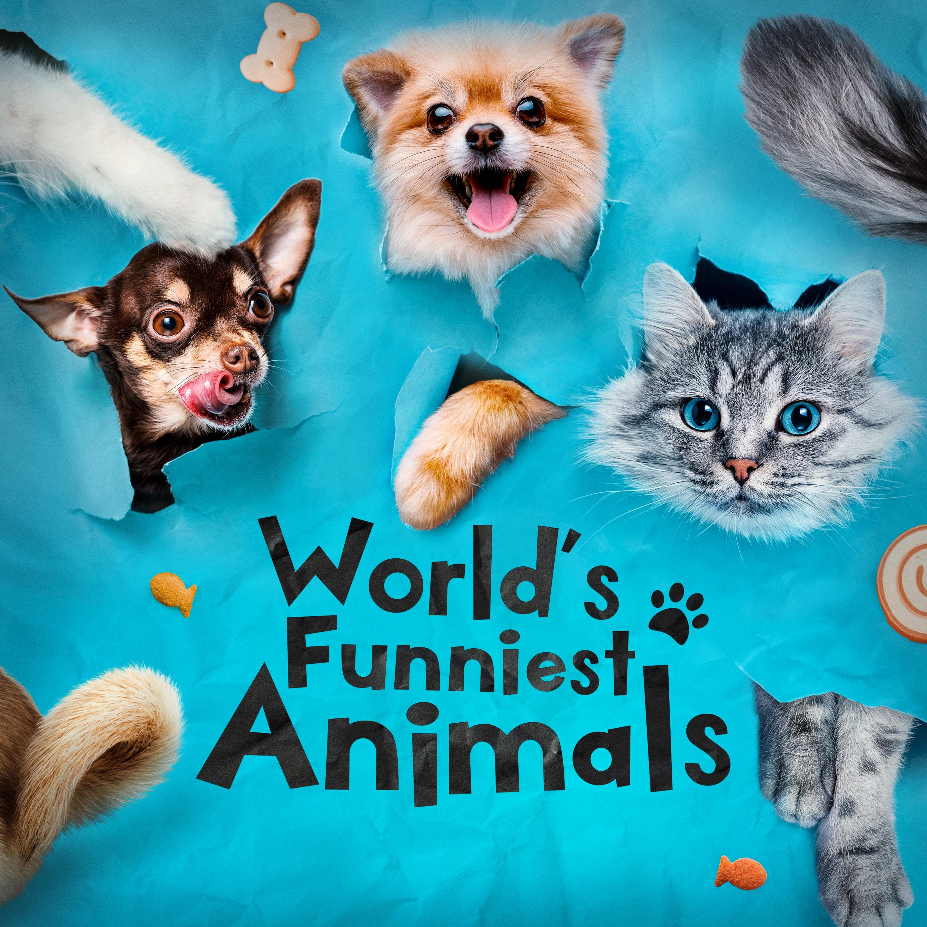 List Of Top 25+ Shows On The CW, Ranked By Fans