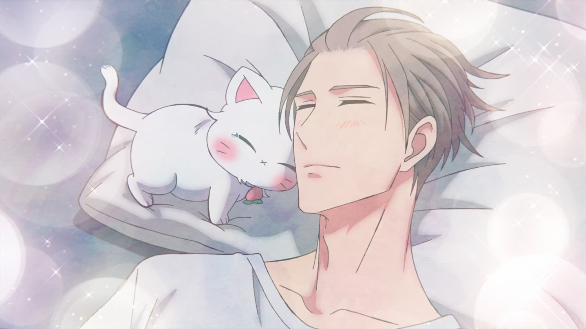 The 13 Best Anime For Cat Lovers, Ranked By Fans