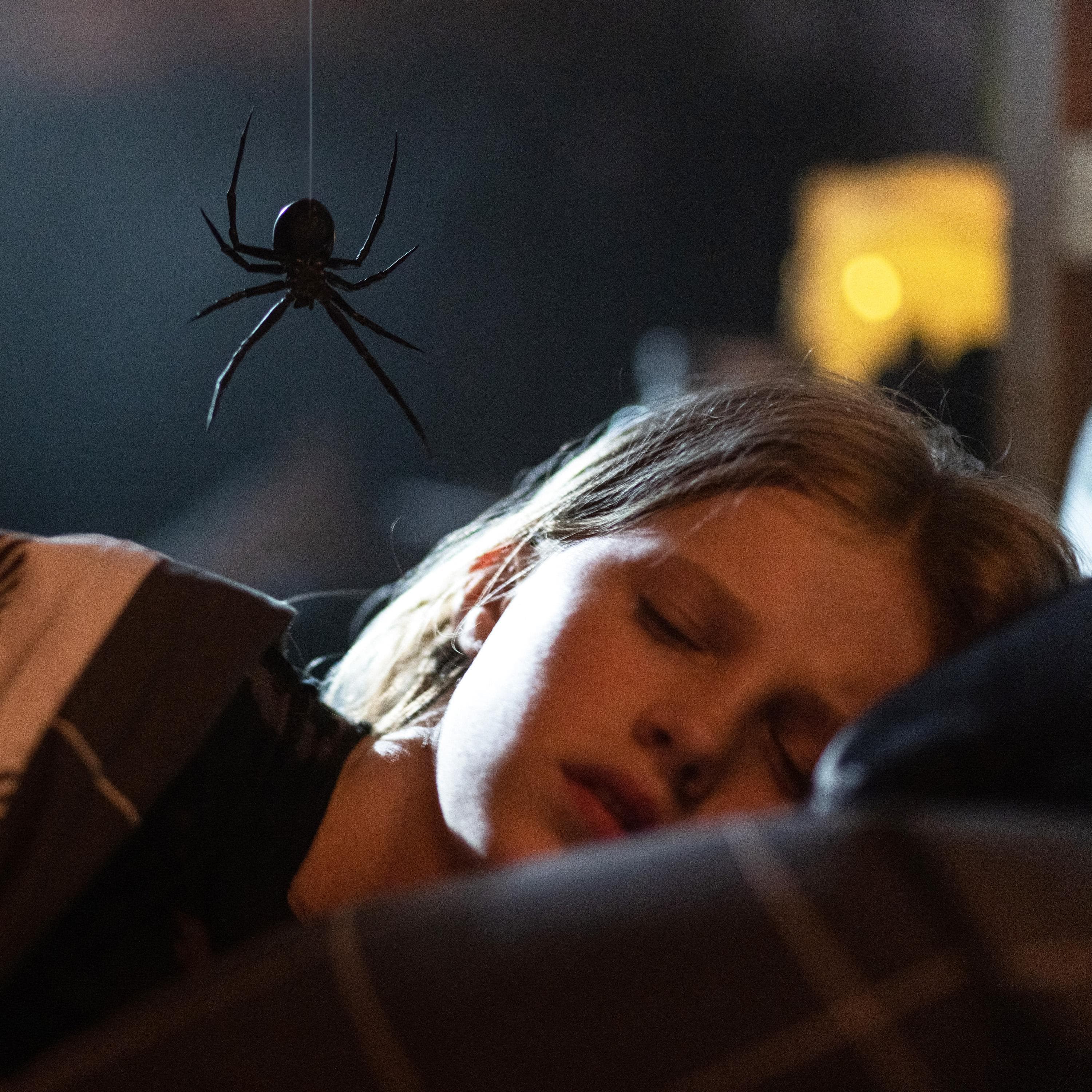 32 Scary Movies With Spiders, Ranked