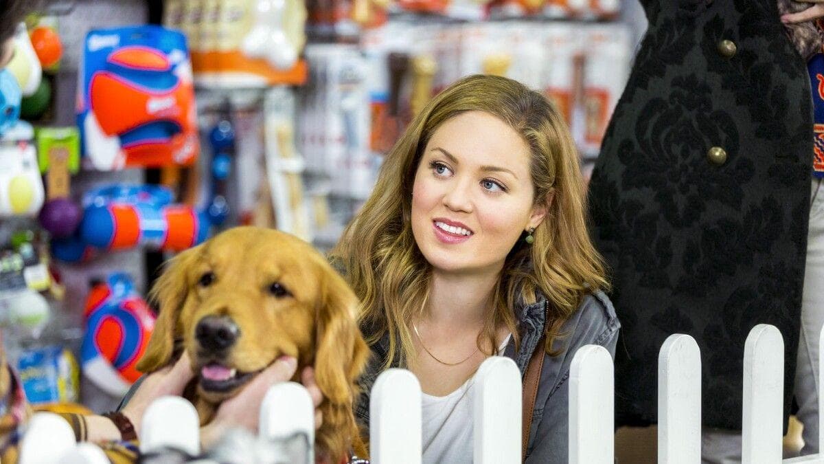 The Funniest Hallmark Movies