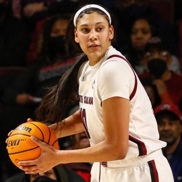 The 12 Best Chicago Sky Players, Ranked By Fans