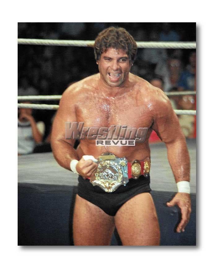 Best Wrestlers Ever: List of Professional and WWE Wrestlers