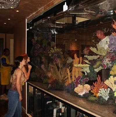 Celebrities with Fish Tanks | Famous People Who Have Aquariums