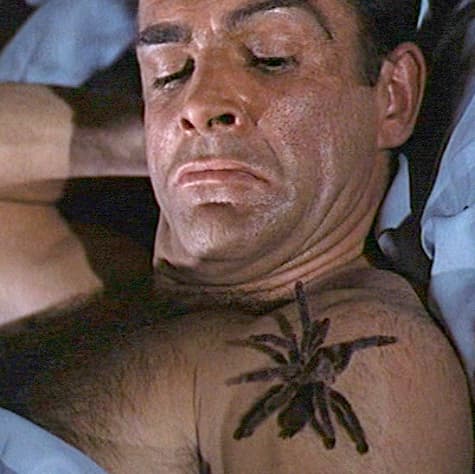 32 Scary Movies With Spiders, Ranked