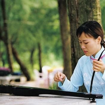 The Plucked String Instrument: List of Musical Instruments in the ...