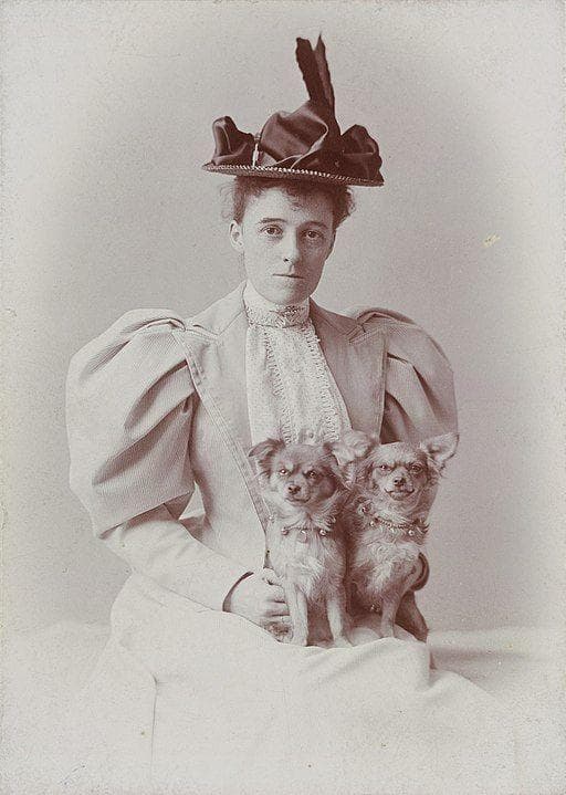 Famous Authors Photos: What The People Behind The Books Look Like