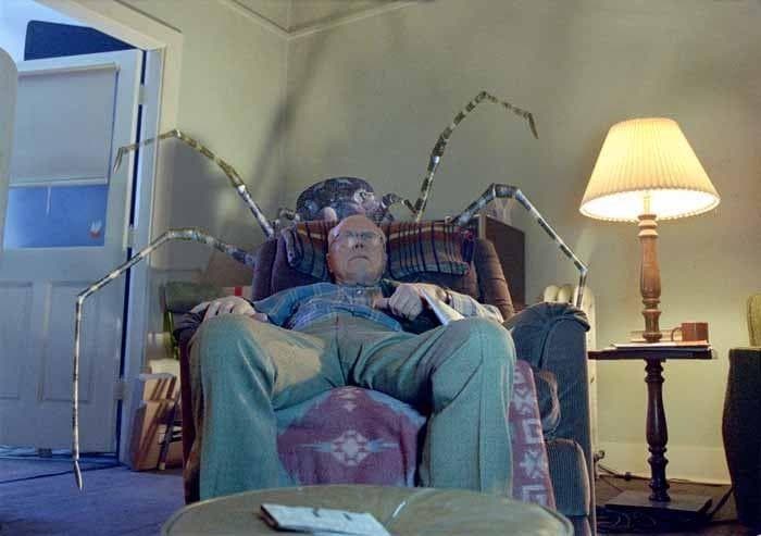 Terrifying Spider Scenes In Movies