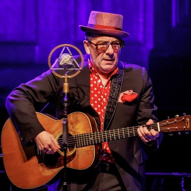 55+ Famous Singers Who Are Virgos