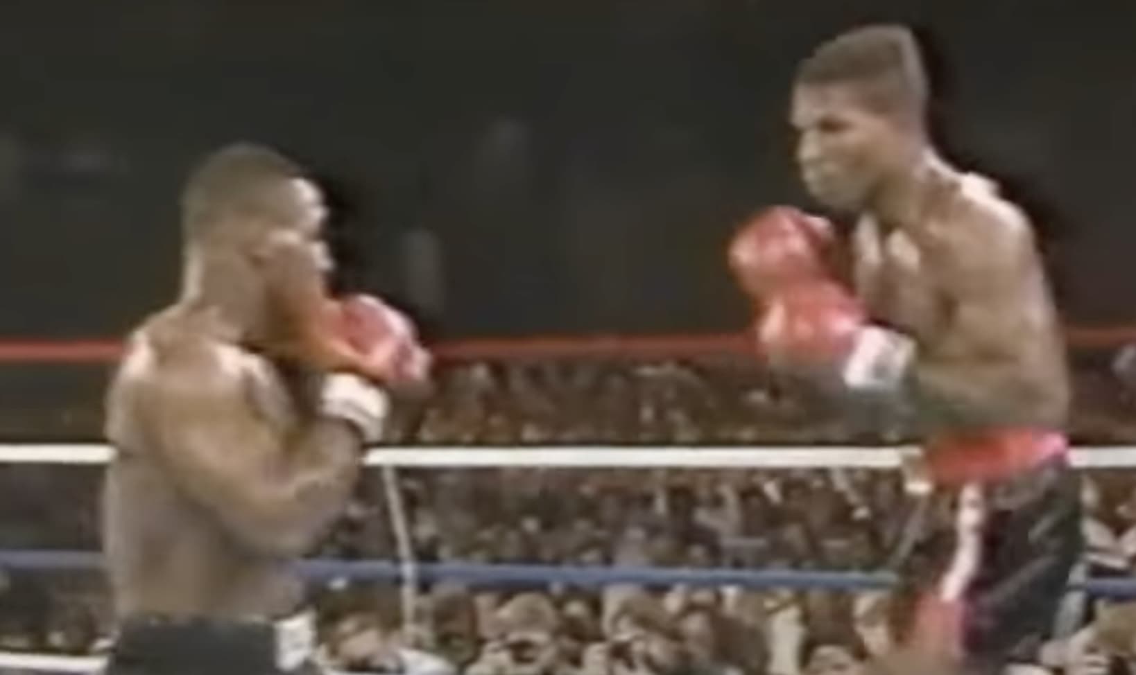 The 15 Best Mike Tyson Knockouts, Ranked By Boxing Fans