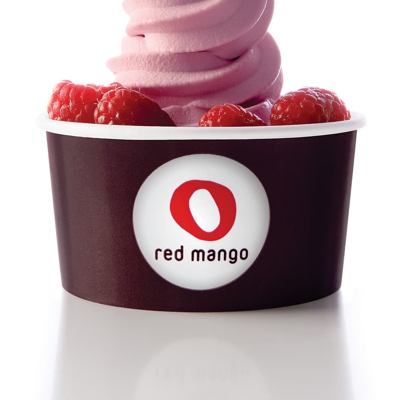 The Best Ice Cream & Frozen Yogurt Chains