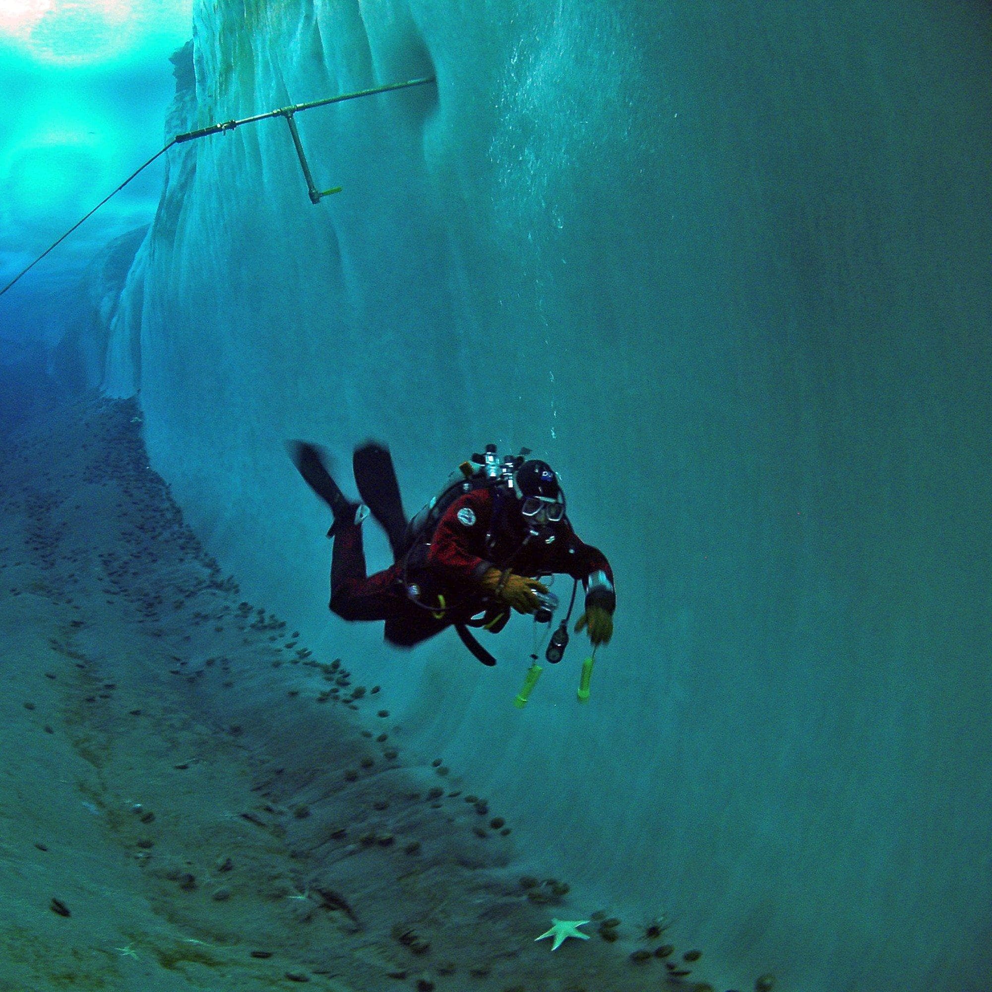 The 13 Best Movies About Exploring The Arctic, Ranked