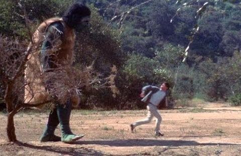 Pretty Good Criterion Horror Films, Ranked By Fans