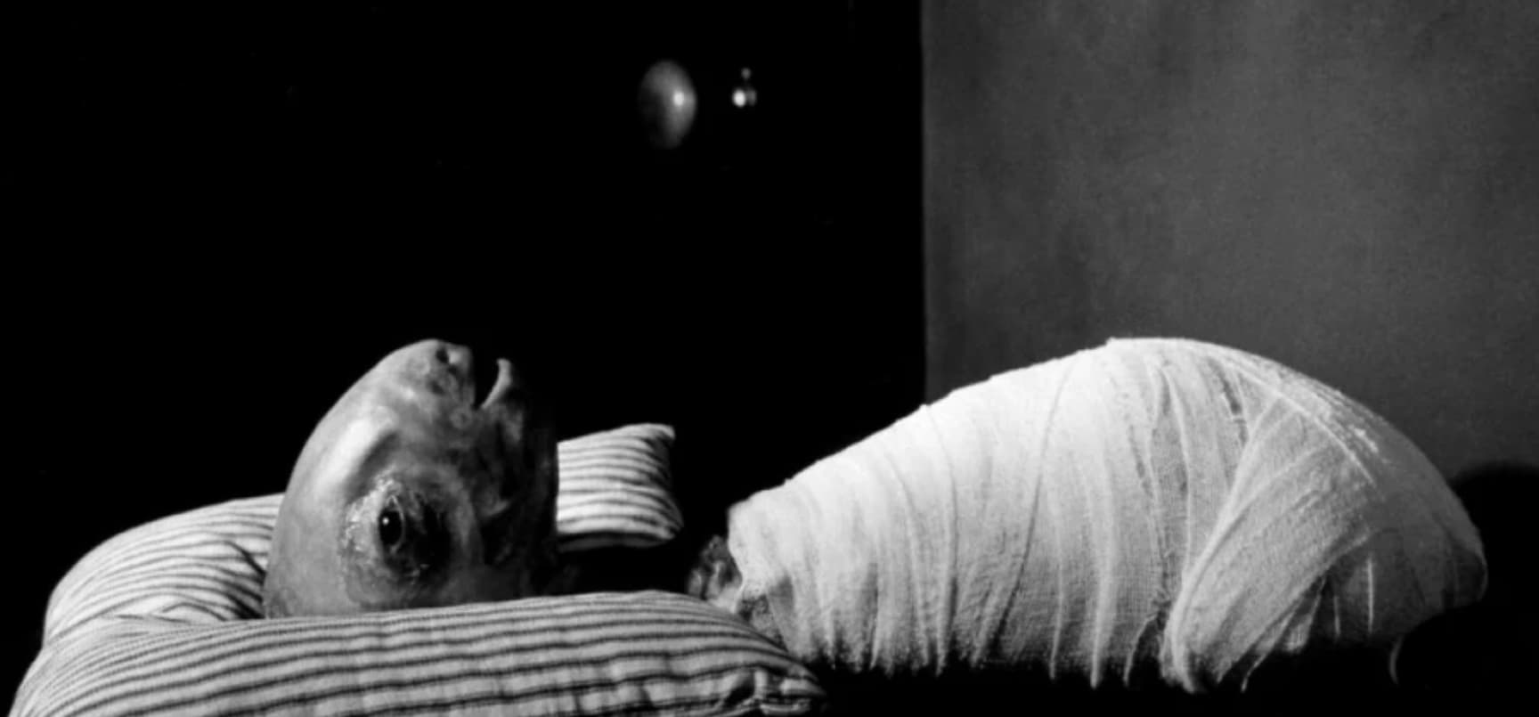 Wild Stories From The Heyday Of Practical Effects In Horror Movies