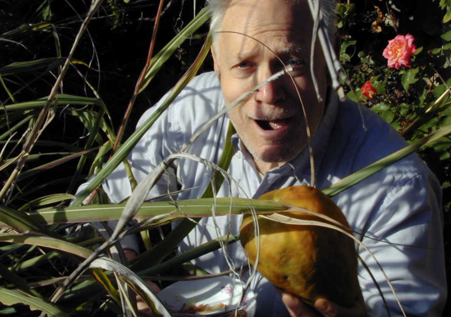 Famous Hispanic Educators | List of Famous Hispanic Scholars