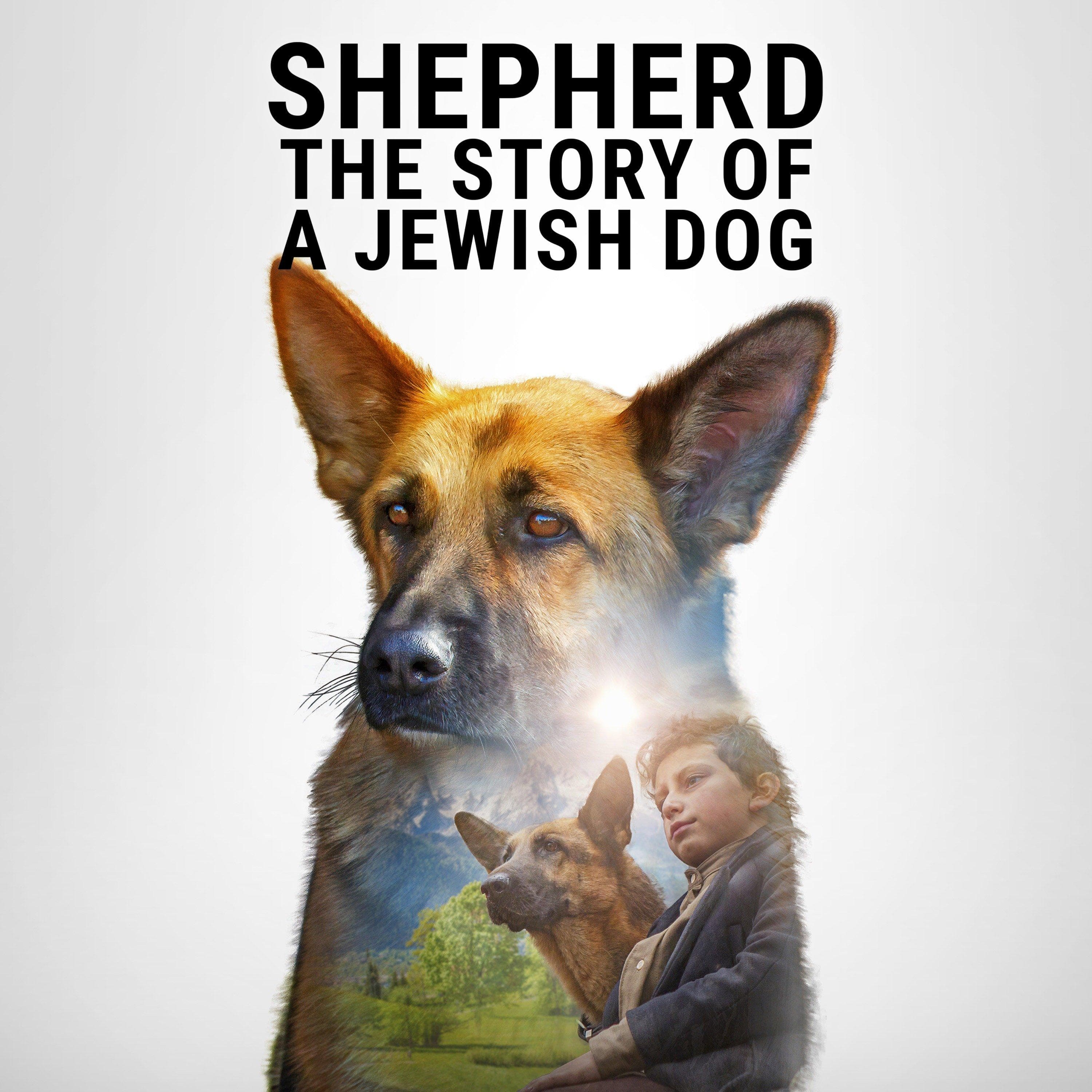 The 15 Best Movies With German Shepherds, Ranked
