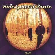 The Best Widespread Panic Albums, Ranked By Fans