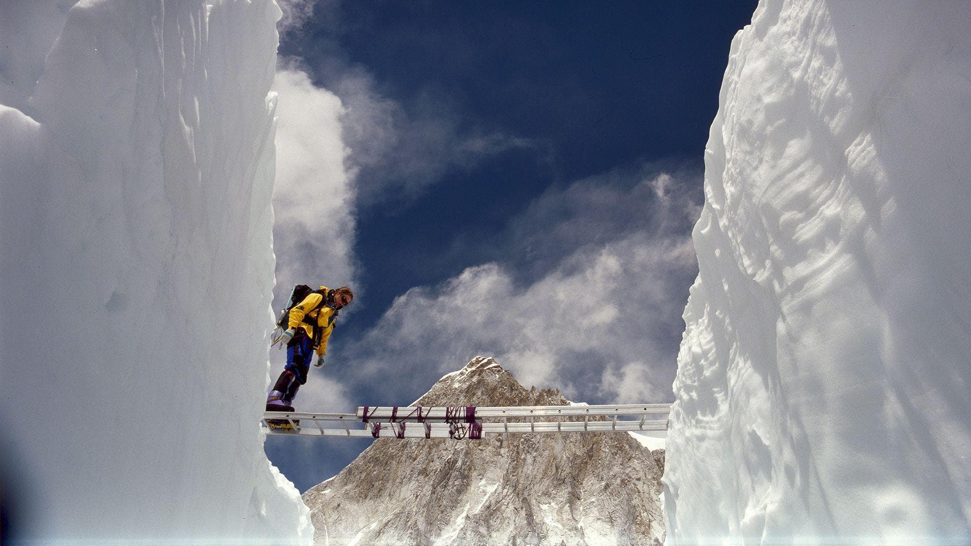 13 Documentaries That Filmed Something Unexpected