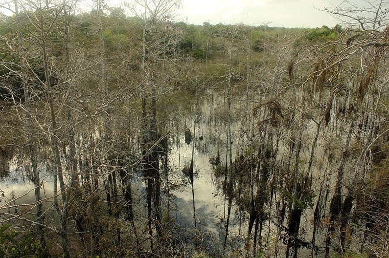 How All The World's Natural Wonders Are Being Affected By Climate Change