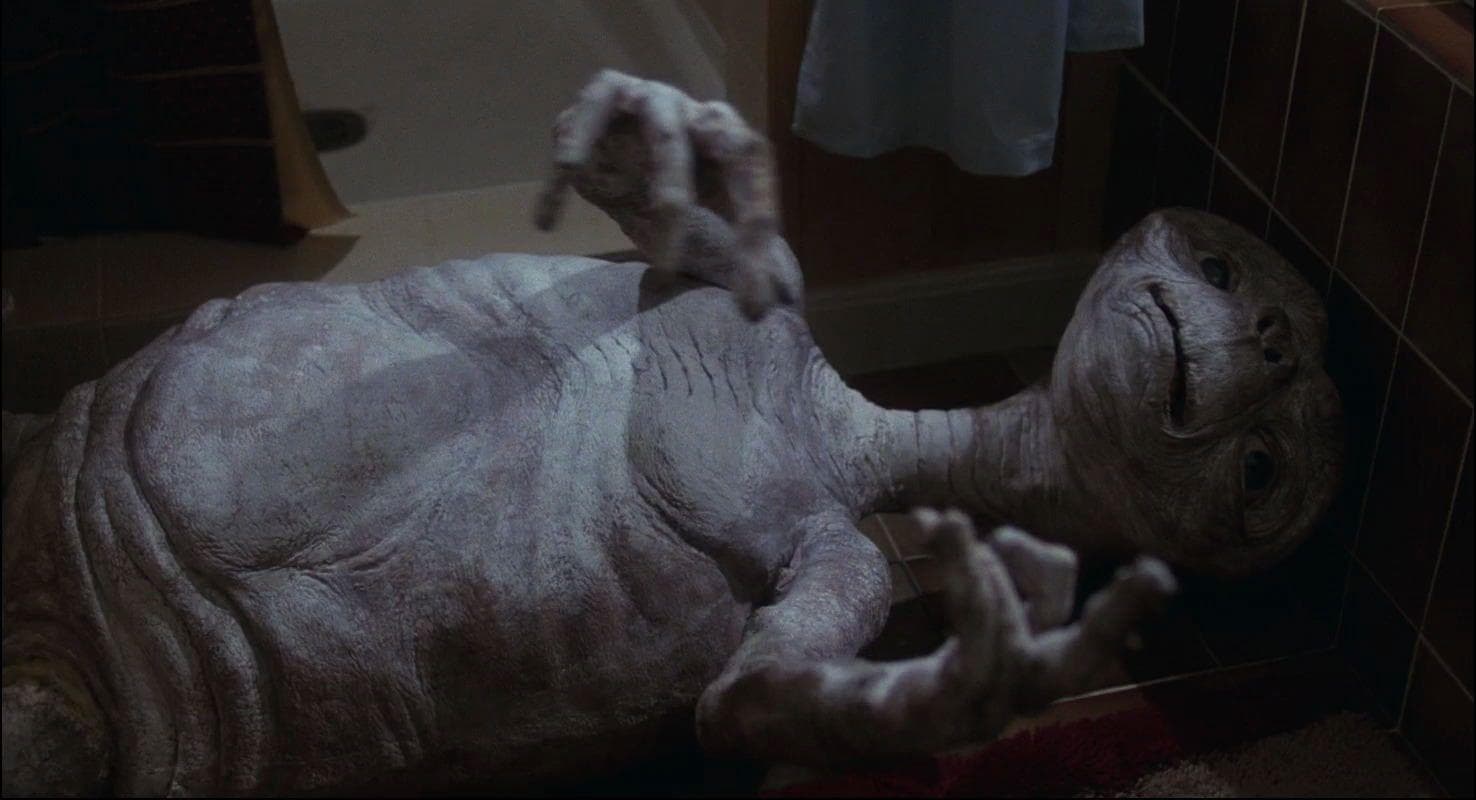 WH Fans Share Their Least Favorite Parts Of Their Favorite Films