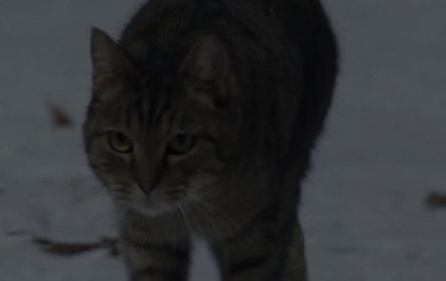 Depictions Of Angels That Deserve Our Praise