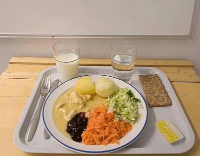 What School Lunch Is Like Around the World
