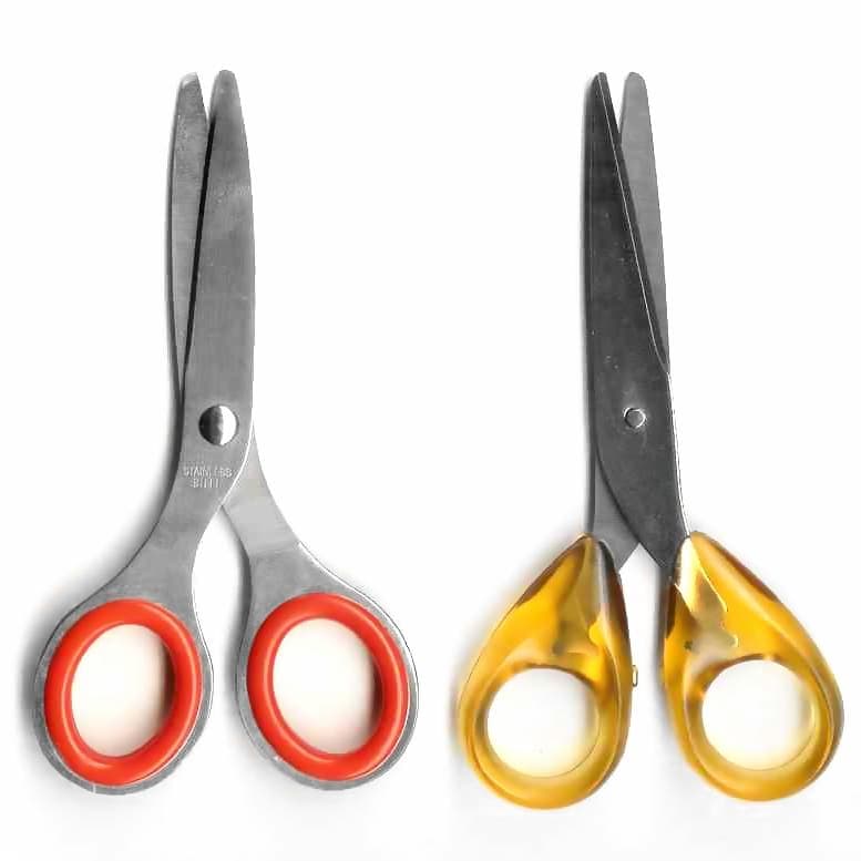 19 Random Useless Facts | Useless Knowledge You Need To Know