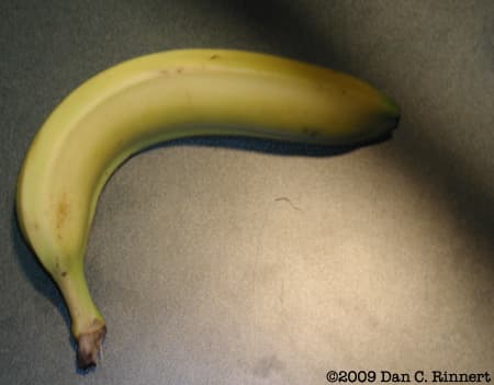 Banana Facts: 10 Most Amazing Facts About Bananas