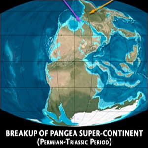 5 Mass Extinctions | Mass Extinction Timeline List