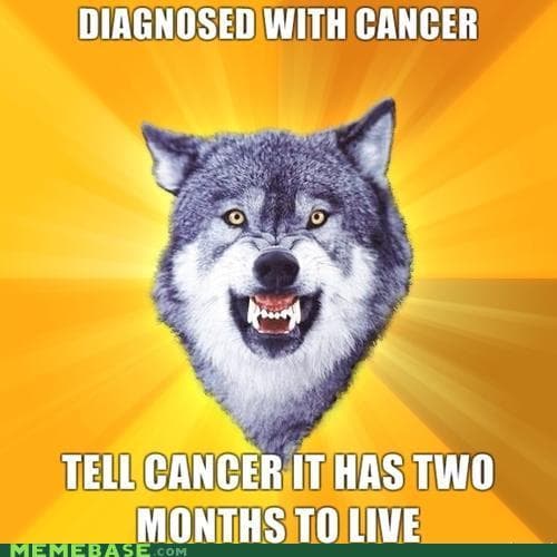 The Courage Wolf Meme | List of the Best of Courage Wolf